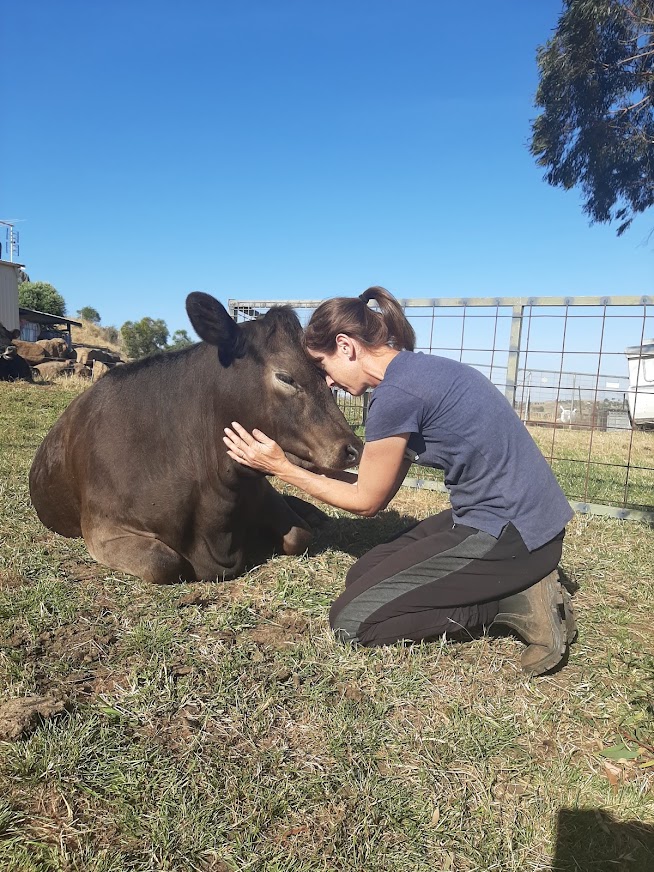 Animal Assisted Therapy – Pleasant Sense