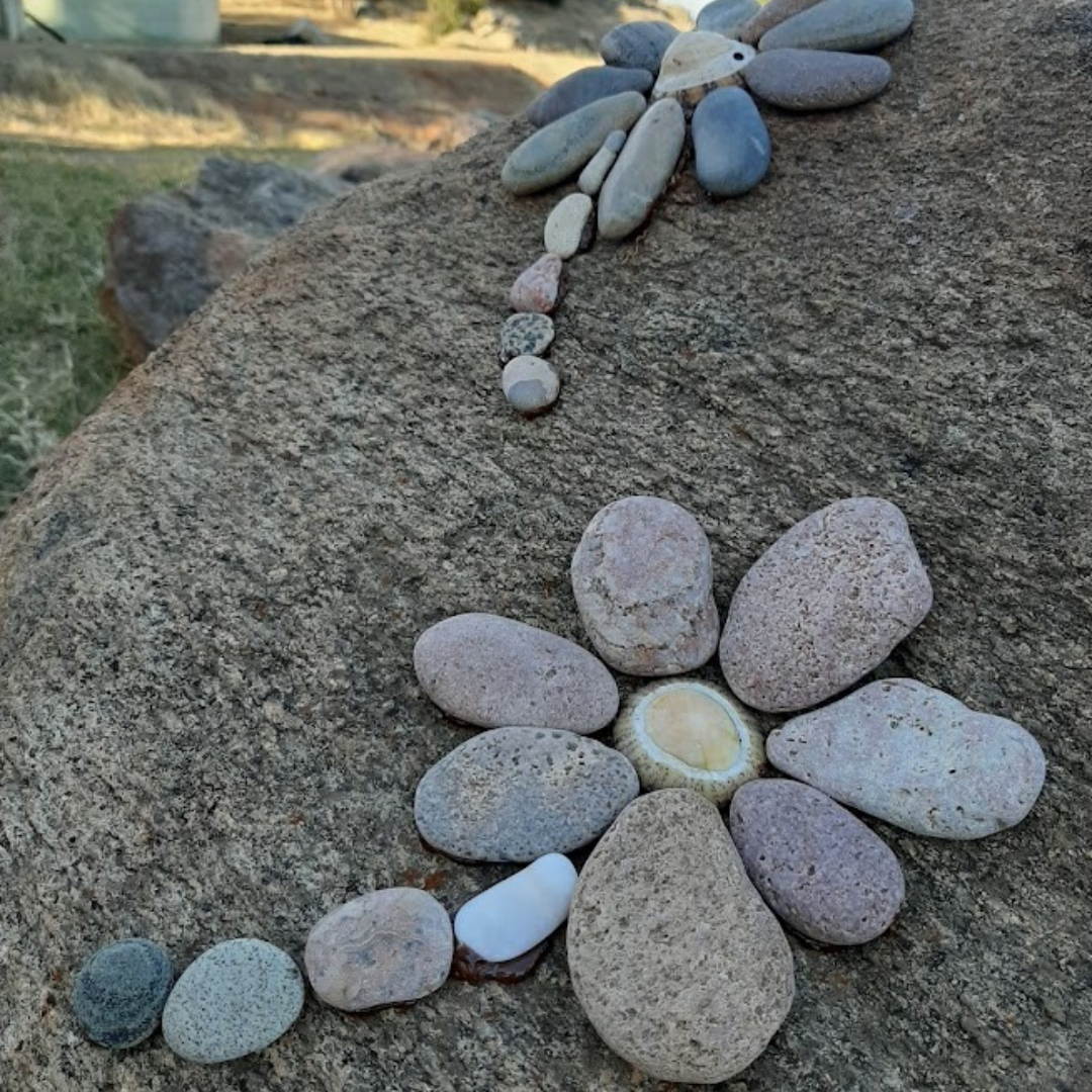 Nature Mentoring Program – Pleasant Sense